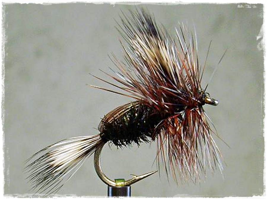 Humpy peacock – Freshwater Flies